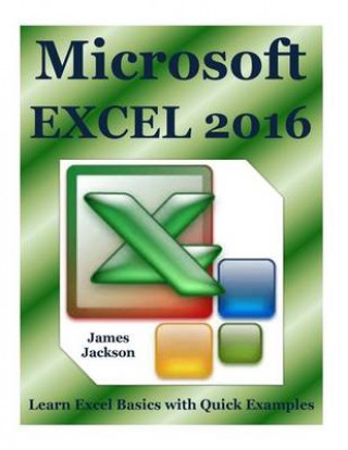 Microsoft Excel 2016: Learn Excel Basics with Quick Examples(excel 2016, Excel 2013, Excel VBA ...