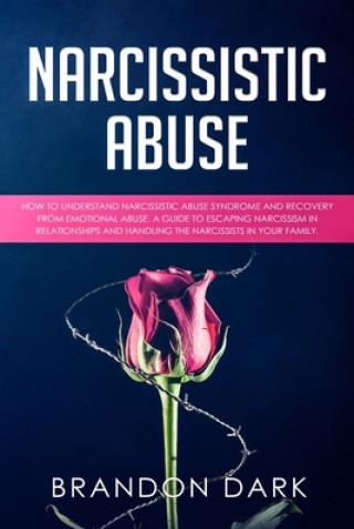 Narcissistic Abuse: How to Understand Narcissistic Abuse Syndrome and Recovery from Emotional ...