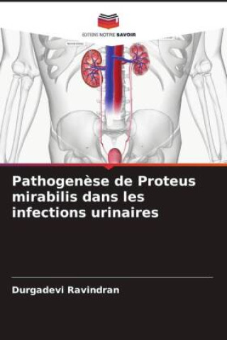 Pathogen?se de Proteus mirabilis dans les infections urinaires ...