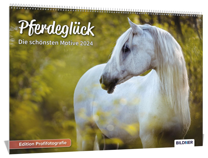 Pferde Kalender 2024 Pferdeglück! Die schönsten Pferdemotive und ...